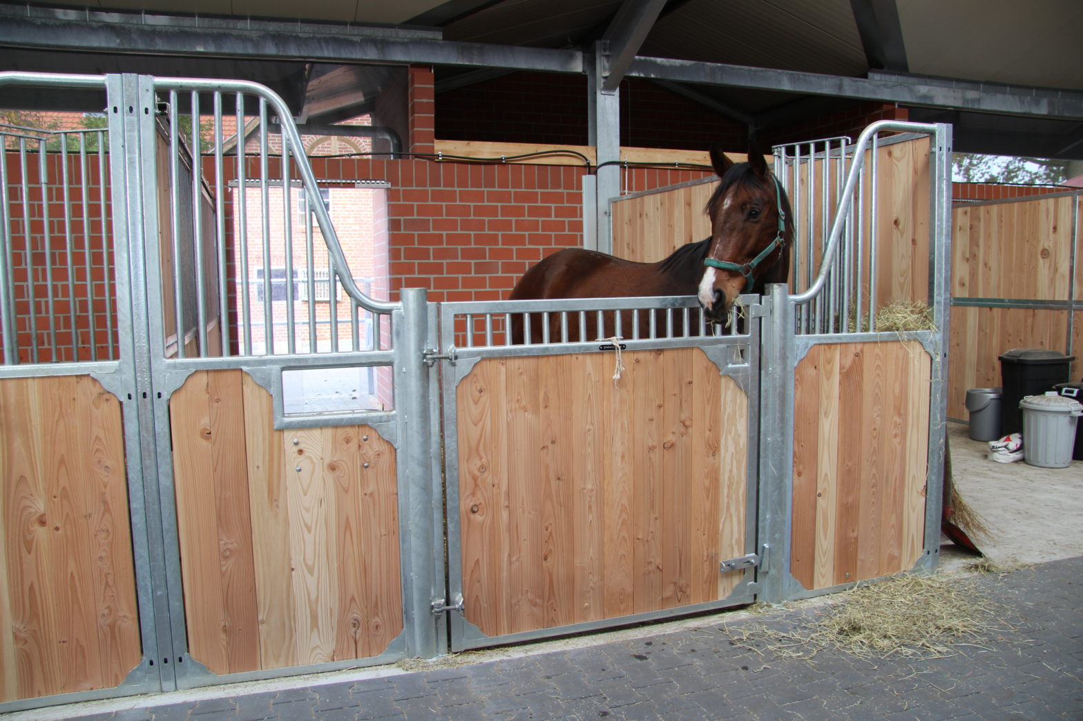 Pferdeboxen: Ein Zuhause für Ihr geliebtes Pferd gestalten | Growi Blog