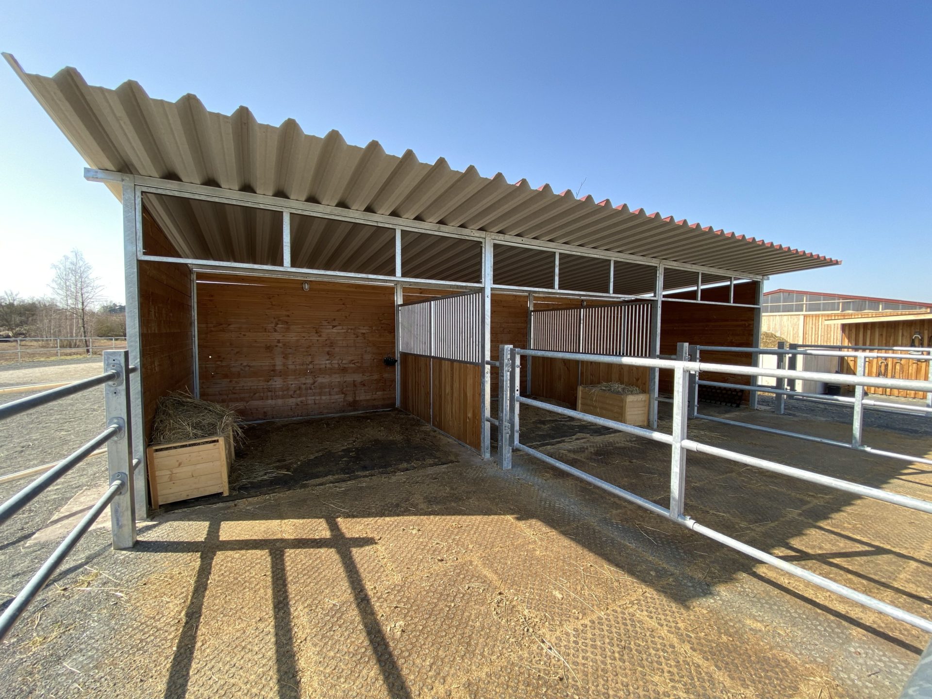 Paddockplanung: Alles, was Sie für einen perfekten Paddock brauchen ...