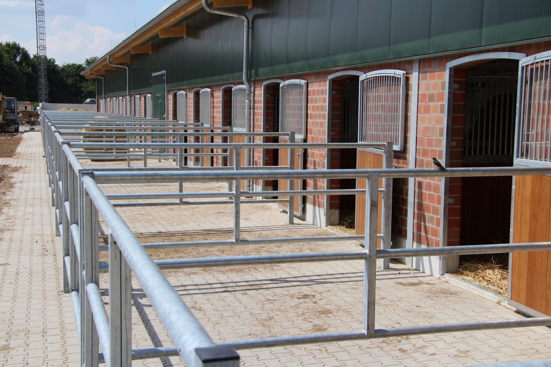 Paddockplanung: Alles, was Sie für einen perfekten Paddock brauchen ...