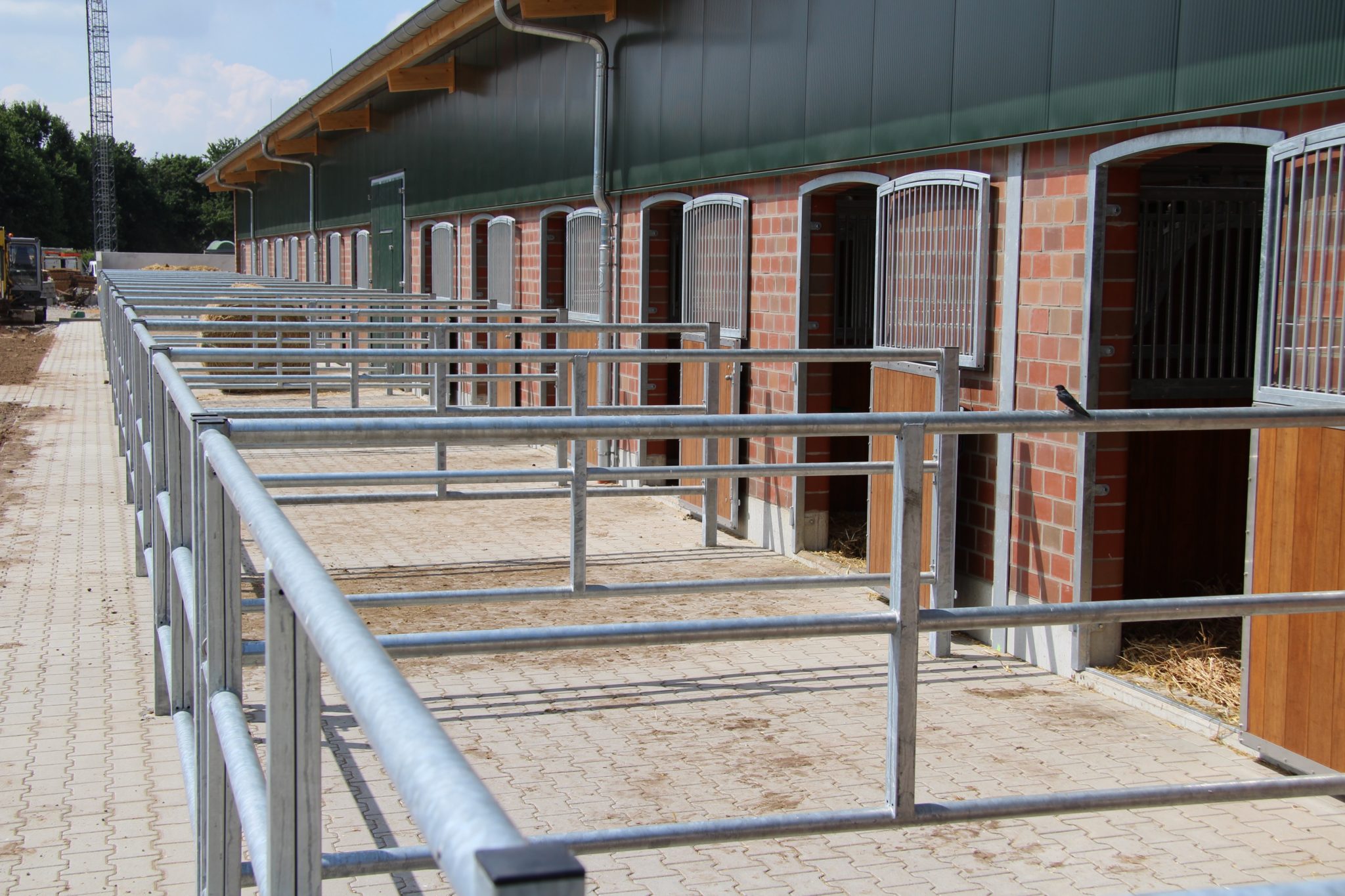 Paddockplanung: Alles, was Sie für einen perfekten Paddock brauchen | Growi Blog