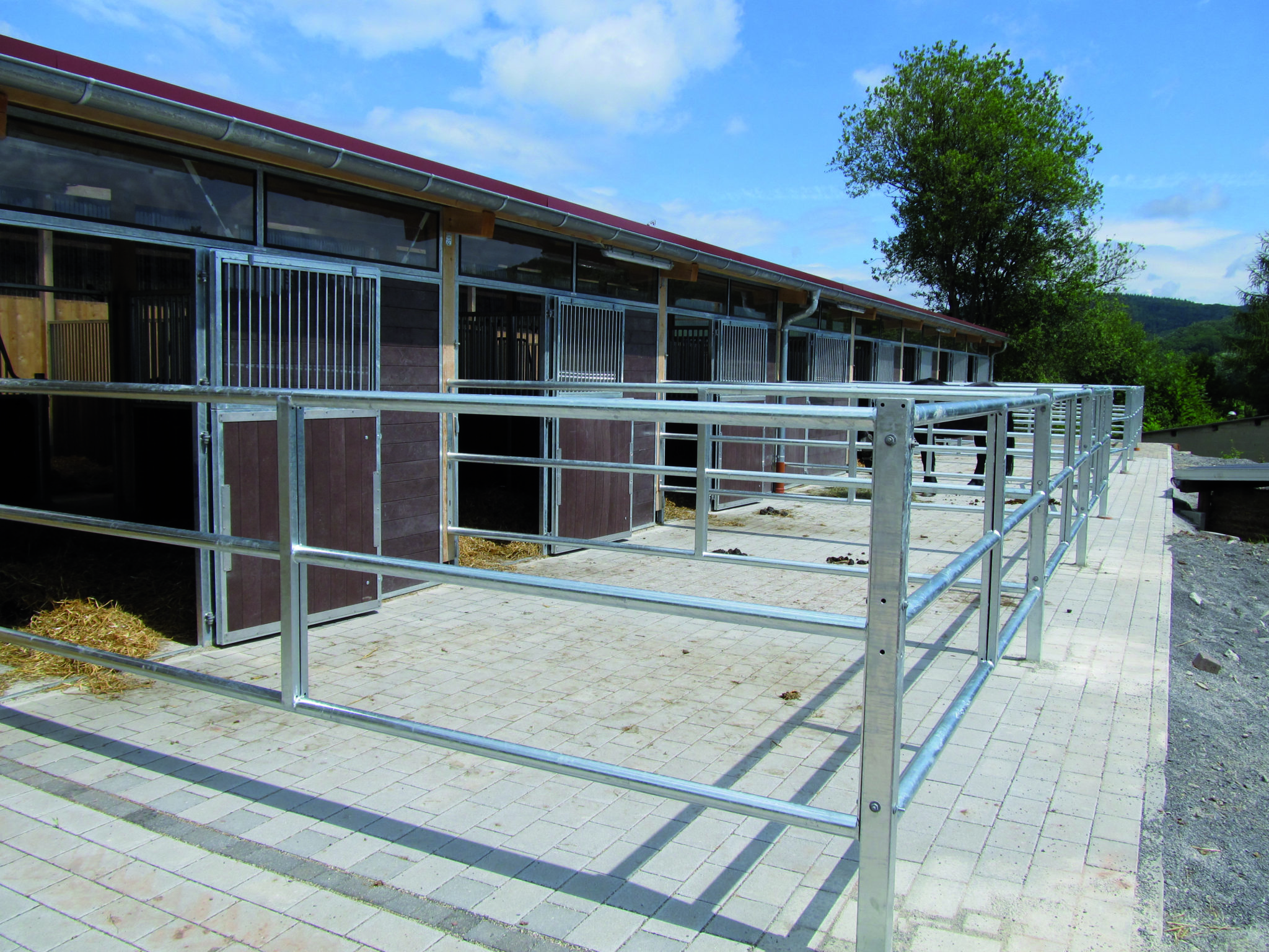 Paddockplanung: Alles, was Sie für einen perfekten Paddock brauchen | Growi Blog